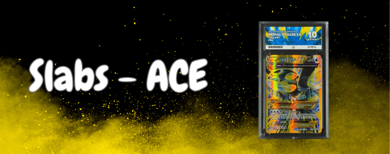 Slabs - ACE Grading – Wintle's Workshop